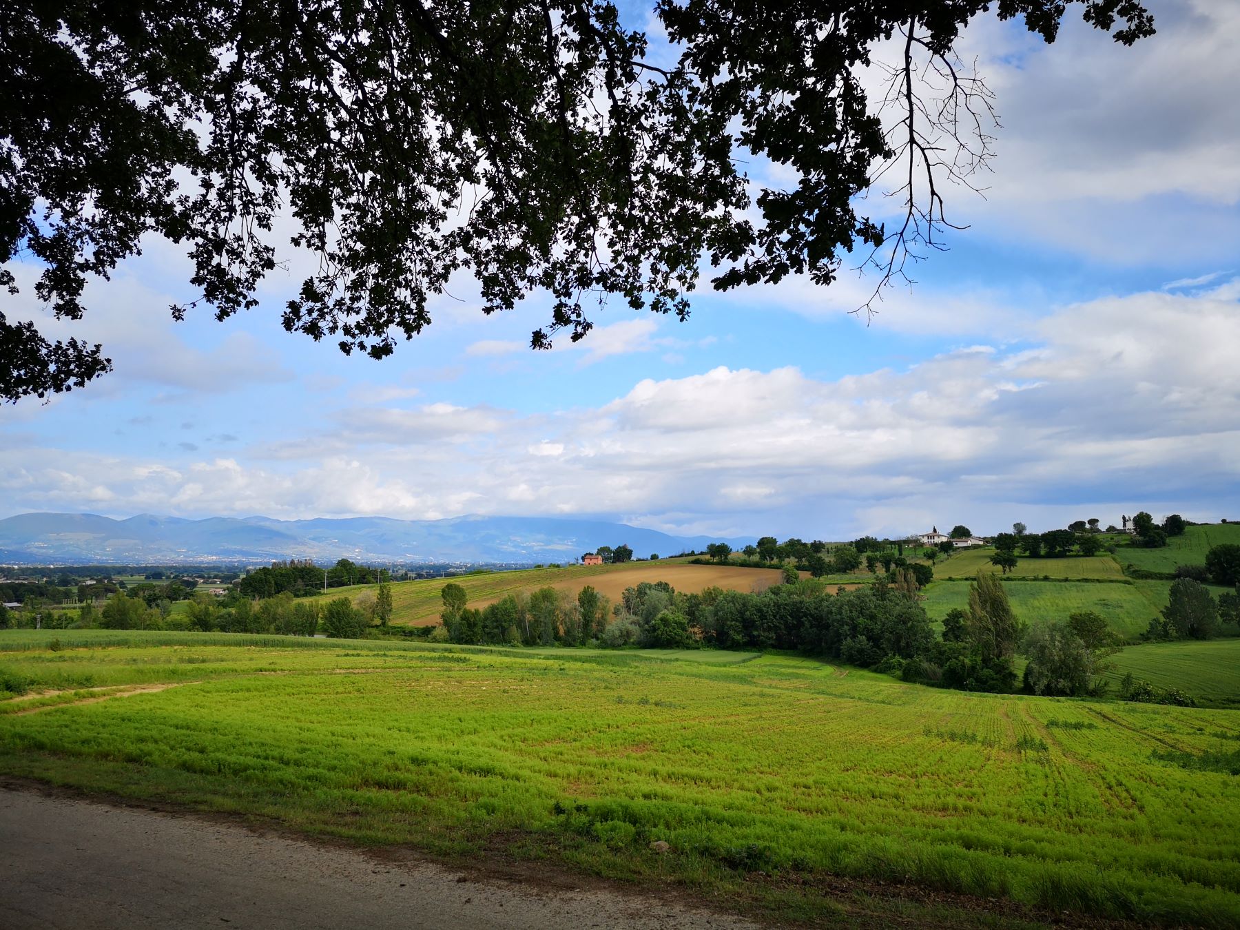 What to do in Bevagna - Exploring Umbria