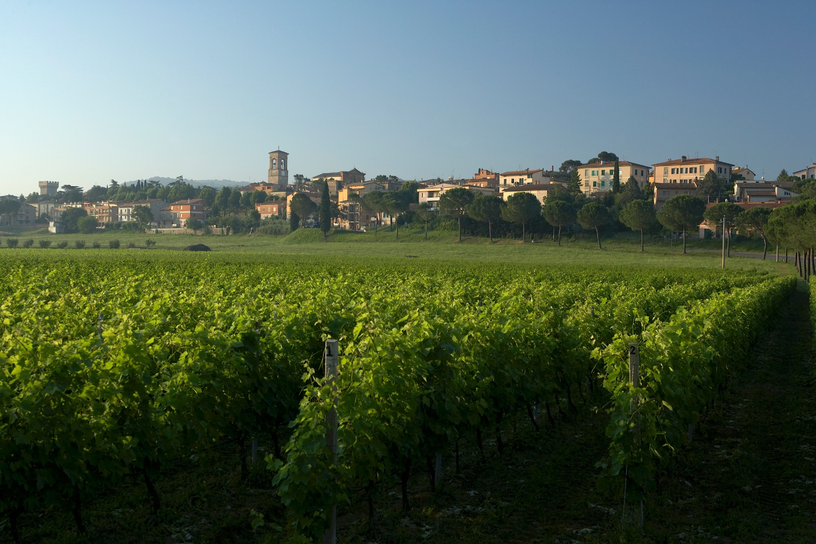 What to see in Torgiano - Exploring Umbria